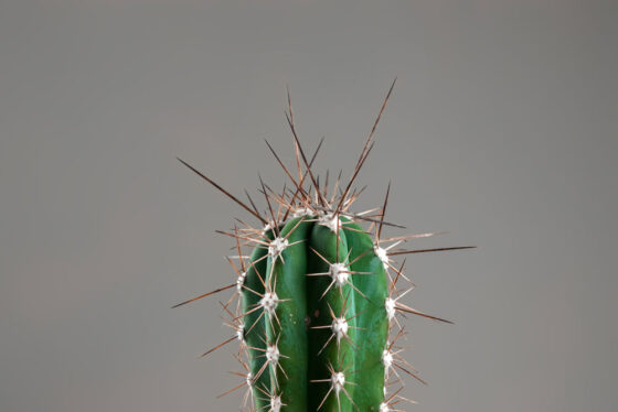 How to Increase Penis Sensitivity - Bathmate